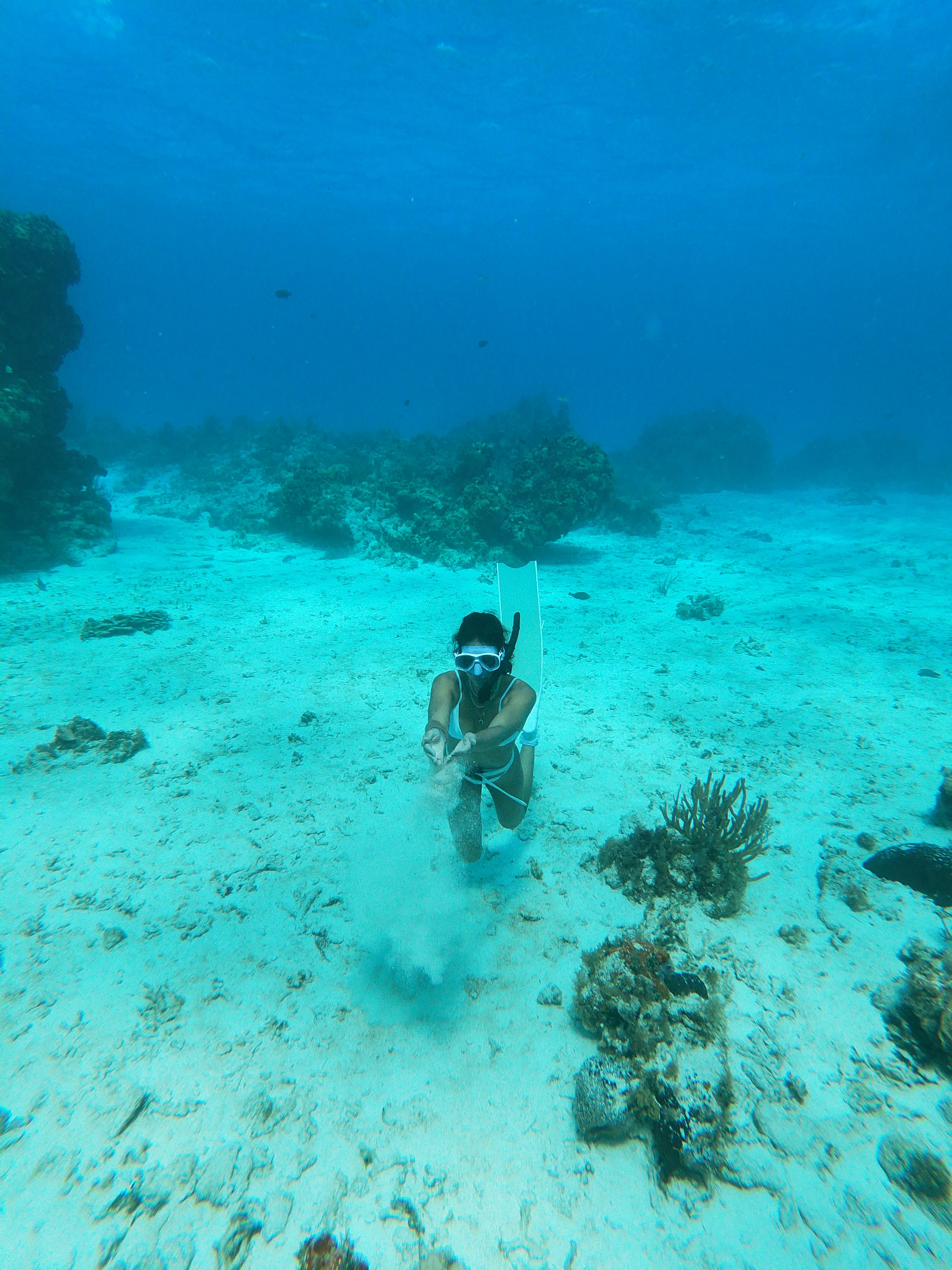 Learn to Freedive: Freediving Tips You Need to Know - Lisa Homsy