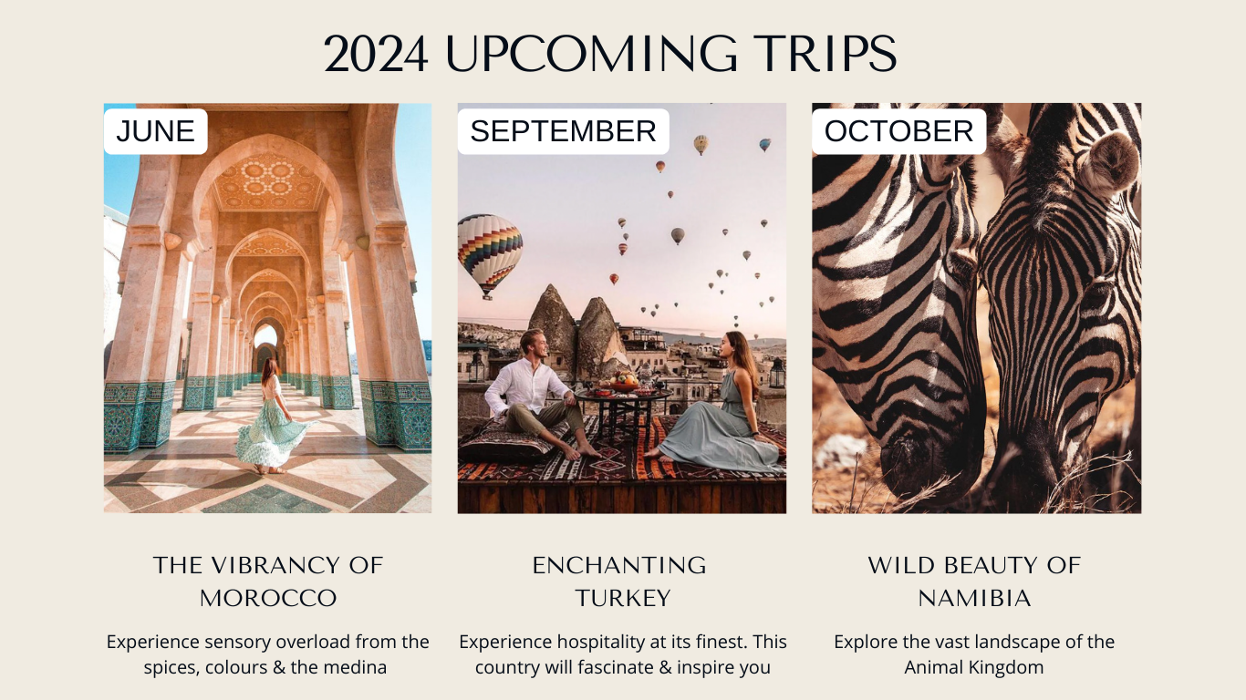 Travel with Me - Lisa Homsy